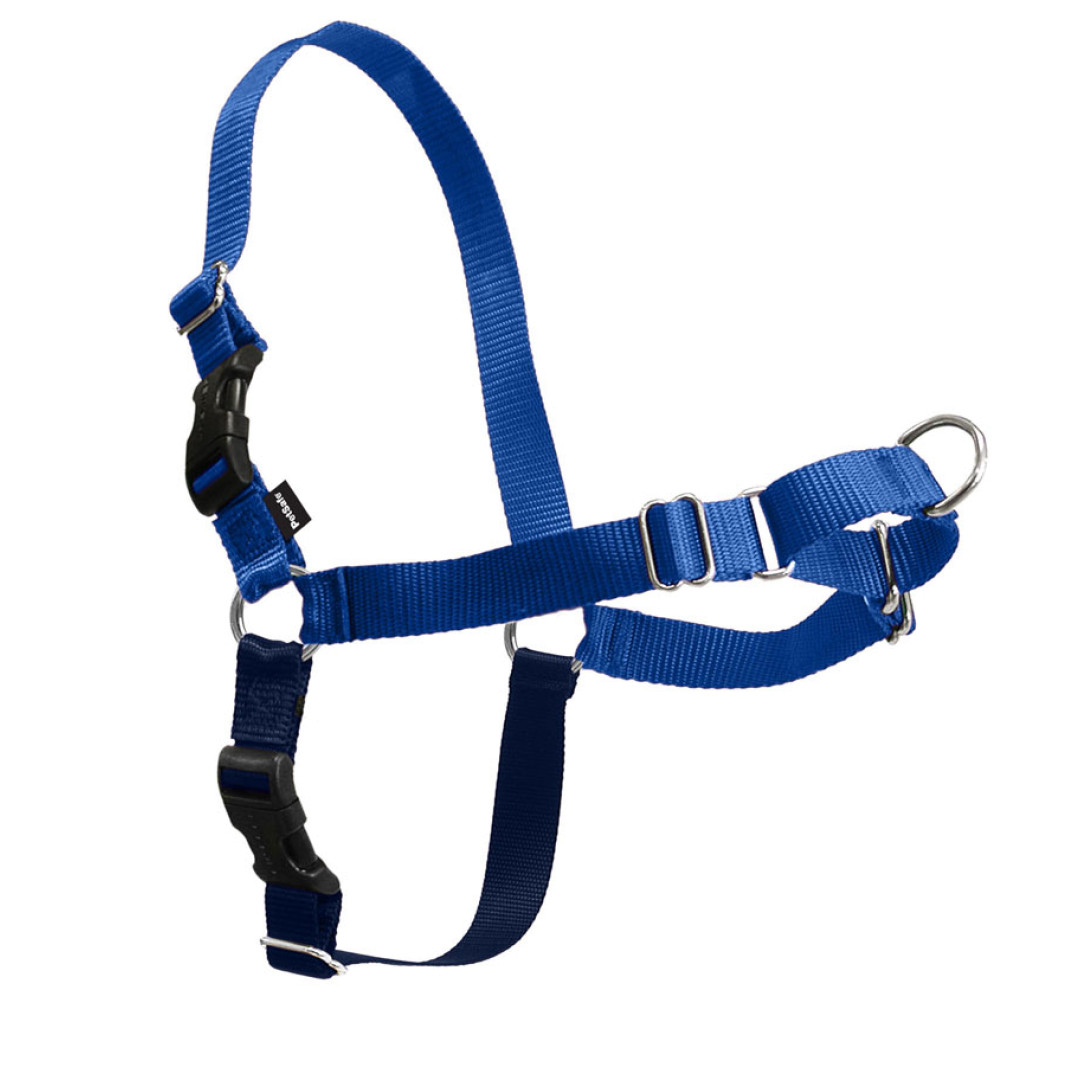 Training Aids | Redfern Canines